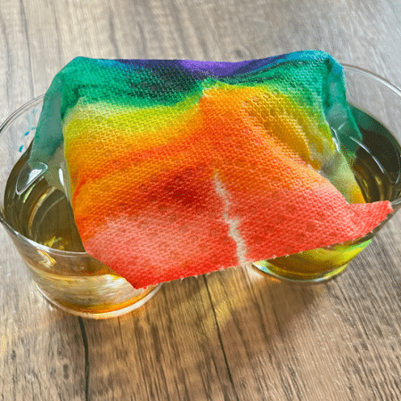 Grow a Rainbow Paper Towel Experiment - New Horizon Academy