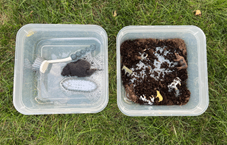 Wash the Farm Animals - Sensory Bin Idea for Kids - New Horizon Academy